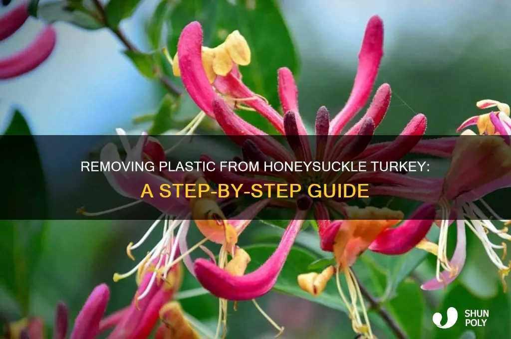 Removing Plastic From Honeysuckle Turkey: A Step-By-Step Guide | ShunPoly