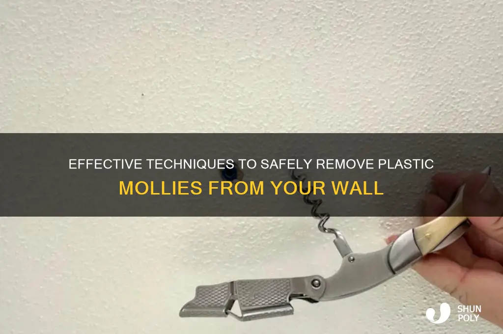 Effective Techniques To Safely Remove Plastic Mollies From Your Wall ...