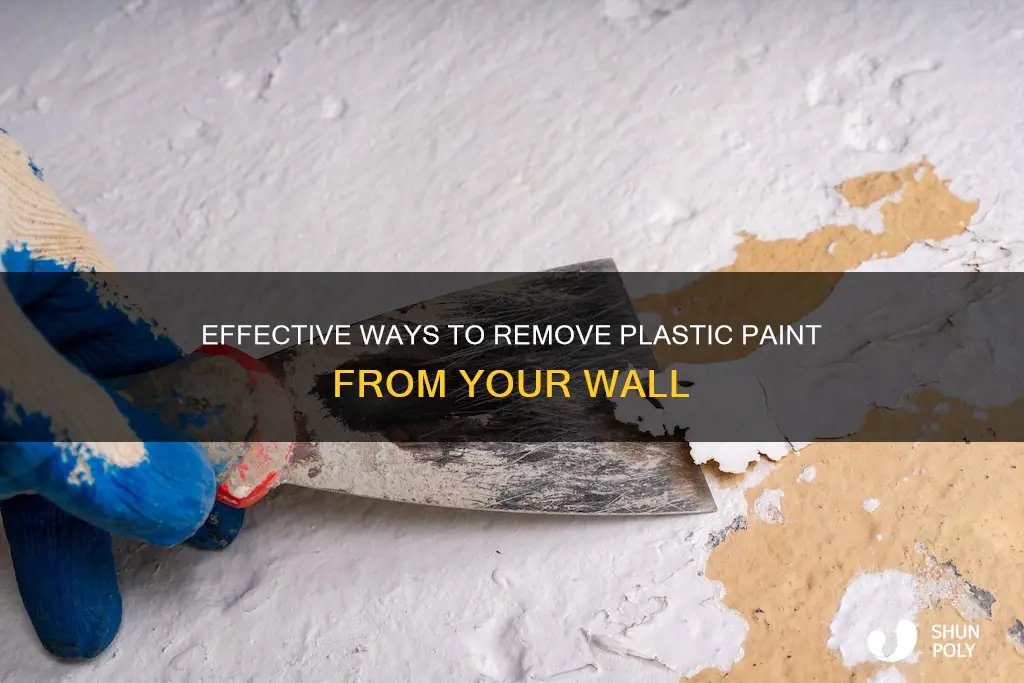 Effective Ways To Remove Plastic Paint From Your Wall | ShunPoly