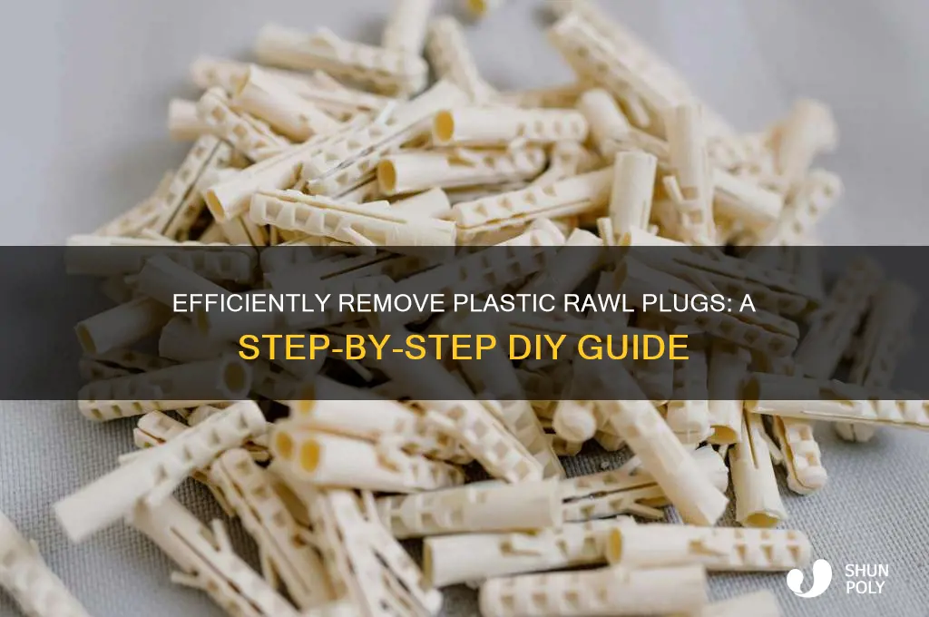 Efficiently Remove Plastic Rawl Plugs: A Step-By-Step Diy Guide | ShunPoly