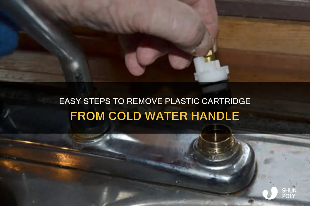 Easy Steps To Remove Plastic Cartridge From Cold Water Handle | ShunPoly