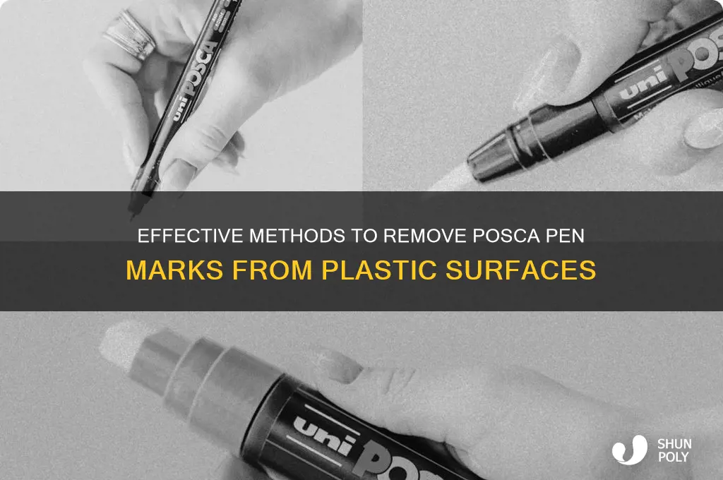 Effective Methods To Remove Posca Pen Marks From Plastic Surfaces ...