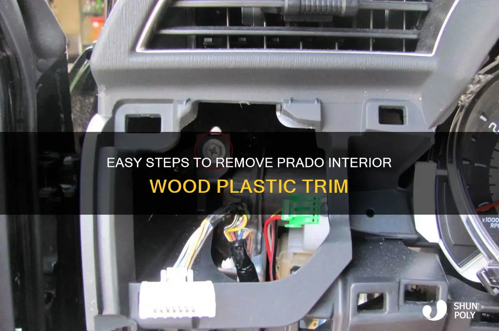 Easy Steps To Remove Prado Interior Wood Plastic Trim | ShunPoly