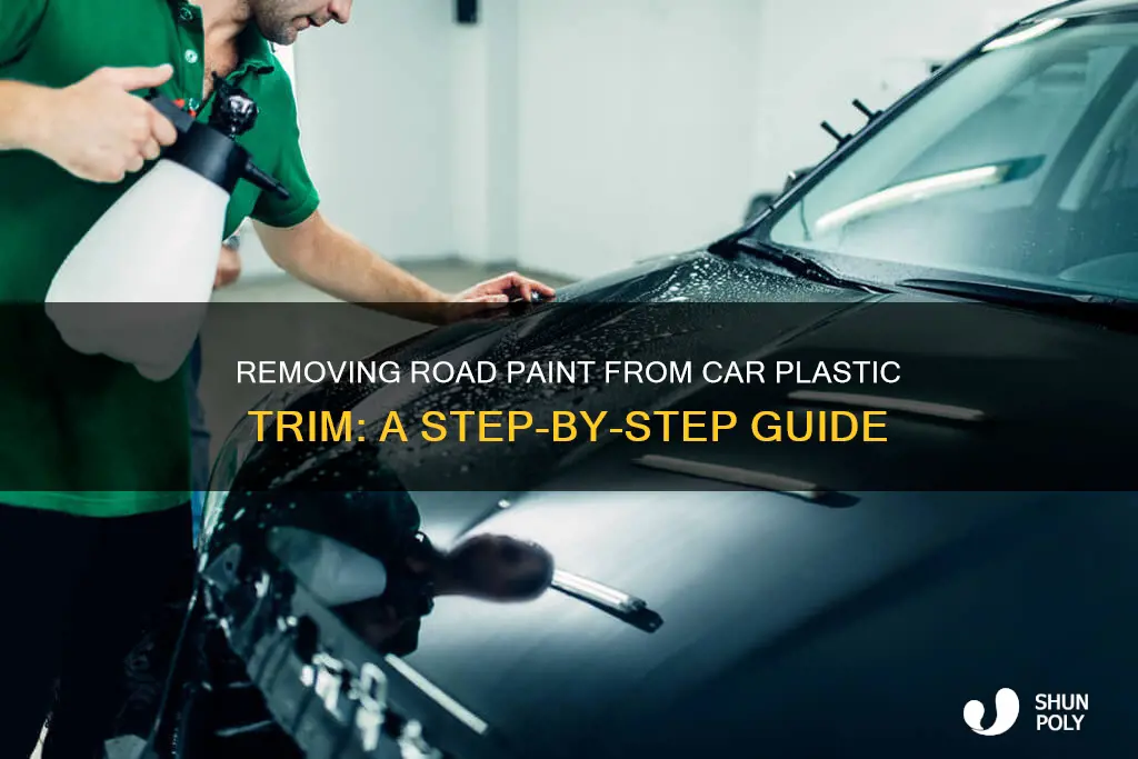 Removing Road Paint From Car Plastic Trim: A Step-By-Step Guide | ShunPoly