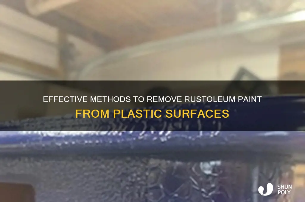 Effective Methods To Remove Rustoleum Paint From Plastic Surfaces ...