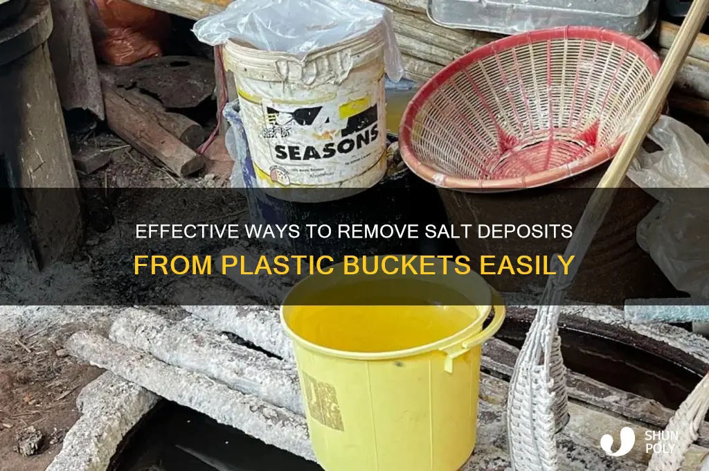 Effective Ways To Remove Salt Deposits From Plastic Buckets Easily ...