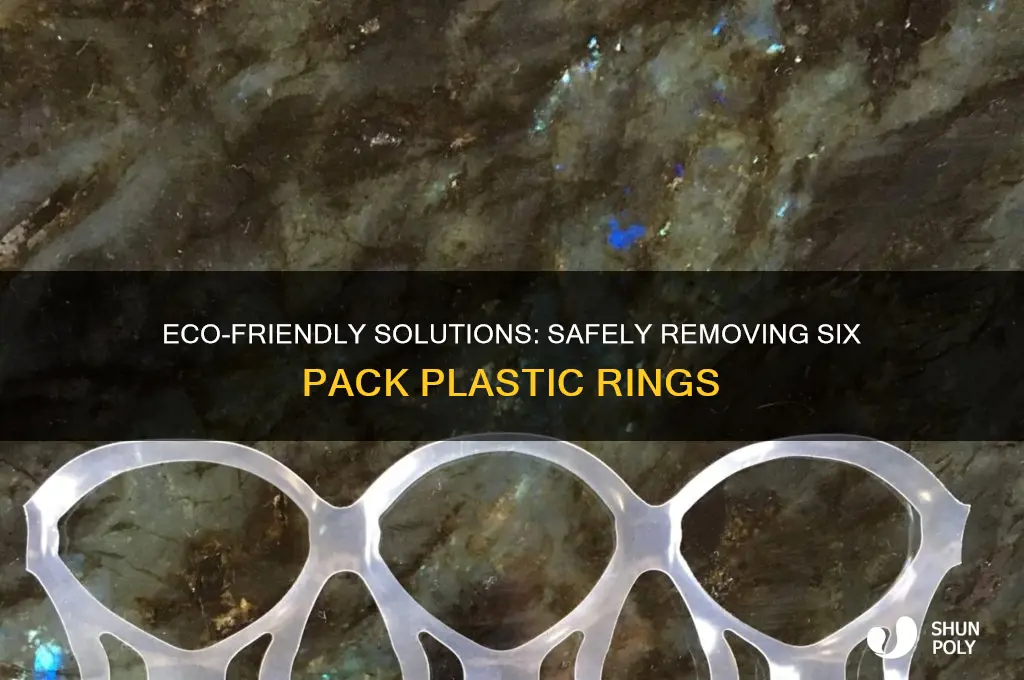 Eco-Friendly Solutions: Safely Removing Six Pack Plastic Rings | ShunPoly