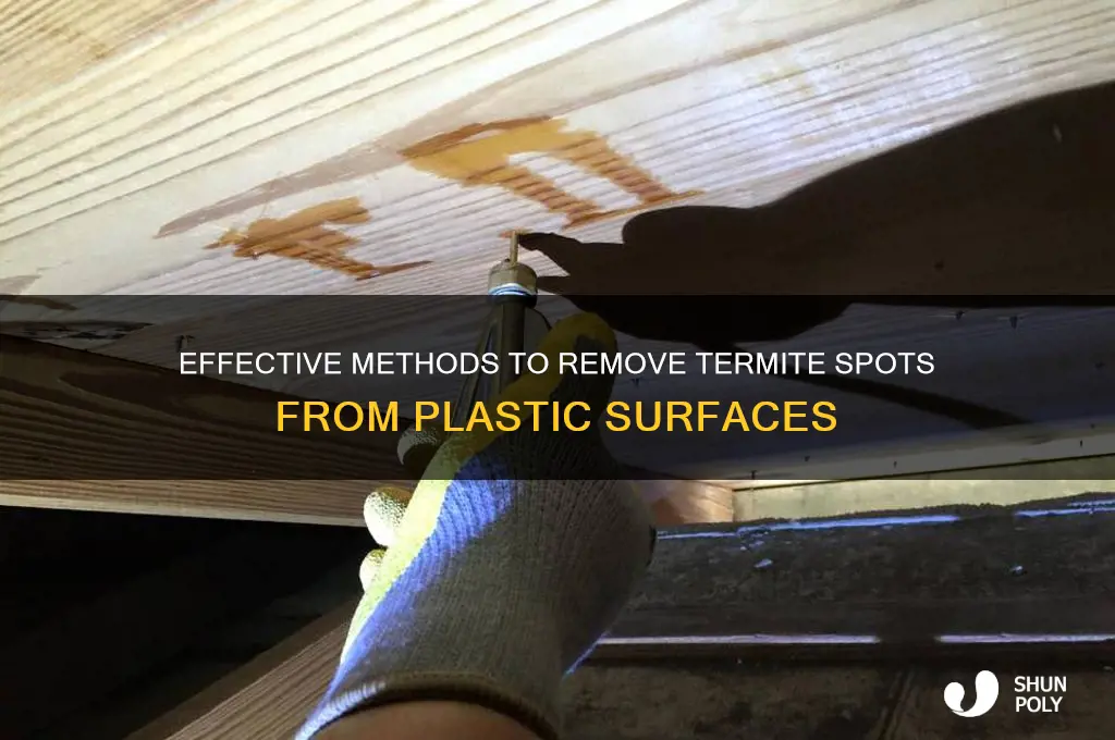 Effective Methods To Remove Termite Spots From Plastic Surfaces | ShunPoly