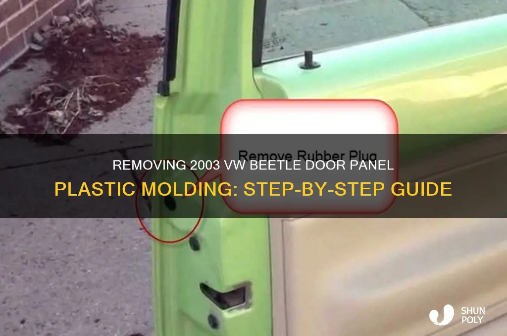 Removing 2003 Vw Beetle Door Panel Plastic Molding: Step-By-Step Guide ...
