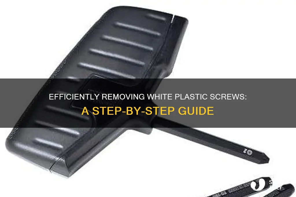 Efficiently Removing White Plastic Screws: A Step-By-Step Guide | ShunPoly