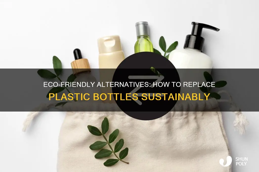 Eco-Friendly Alternatives: How To Replace Plastic Bottles Sustainably ...