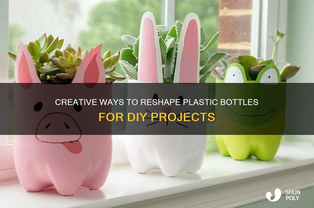 Creative Ways To Reshape Plastic Bottles For Diy Projects | ShunPoly
