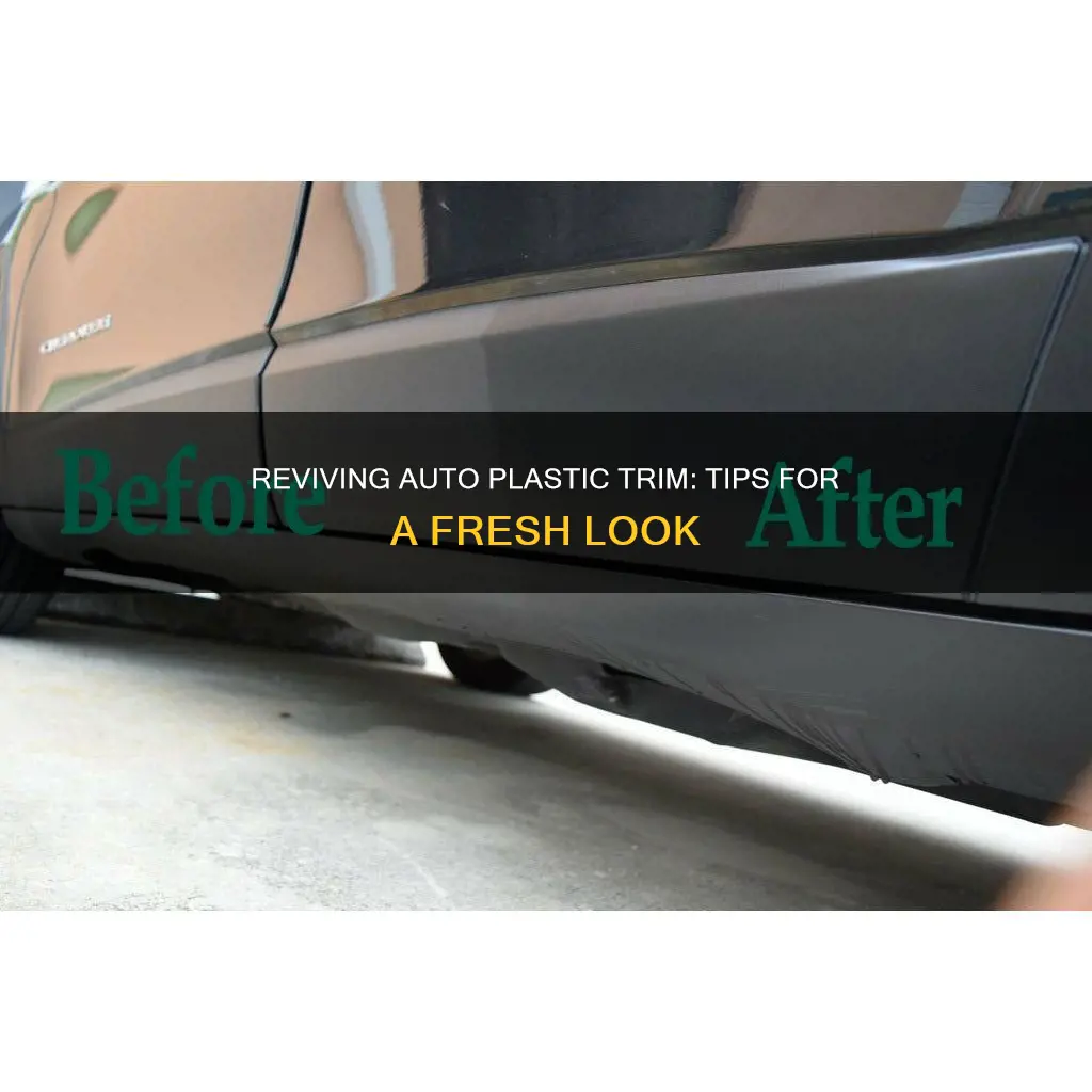 Reviving Auto Plastic Trim: Tips For A Fresh Look | ShunPoly