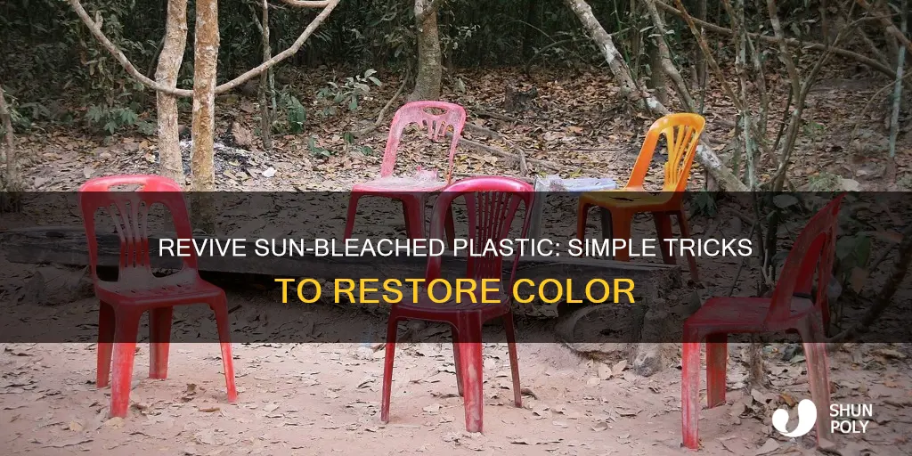 Revive Sun-Bleached Plastic: Simple Tricks To Restore Color | ShunPoly