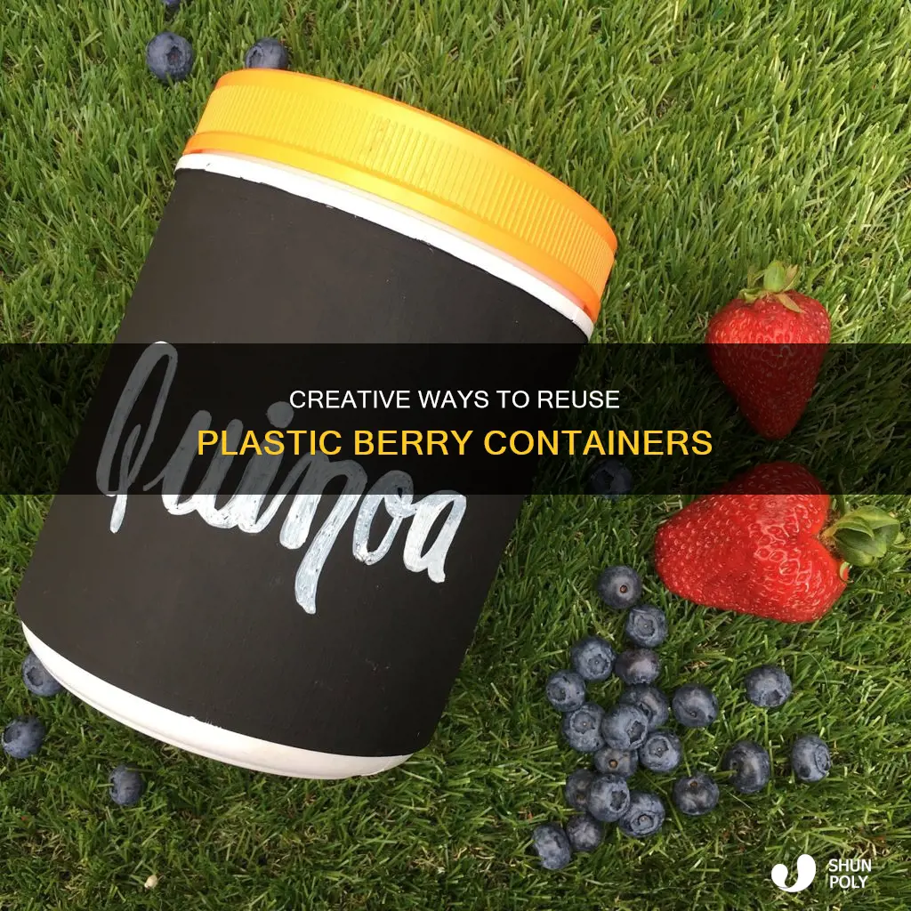Creative Ways To Reuse Plastic Berry Containers | ShunPoly
