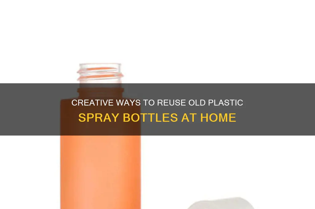 Creative Ways To Reuse Old Plastic Spray Bottles At Home | ShunPoly
