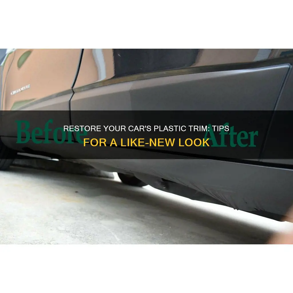 Restore Your Car's Plastic Trim: Tips For A Like-New Look | ShunPoly