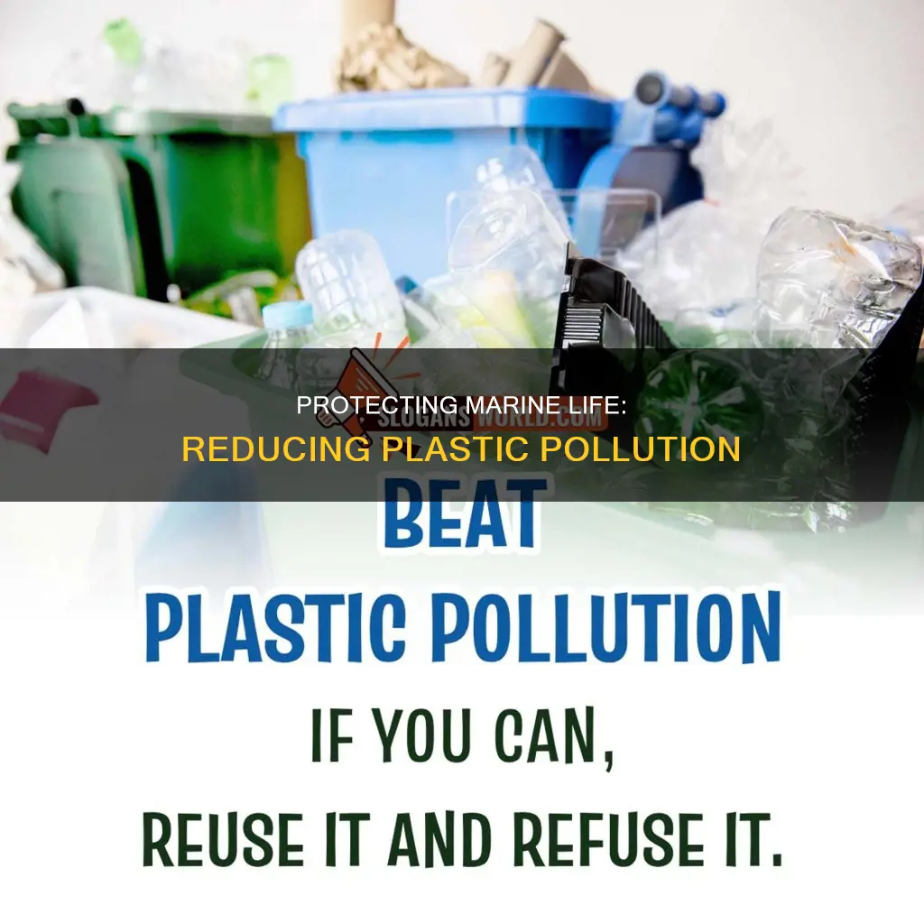 Protecting Marine Life: Reducing Plastic Pollution | ShunPoly