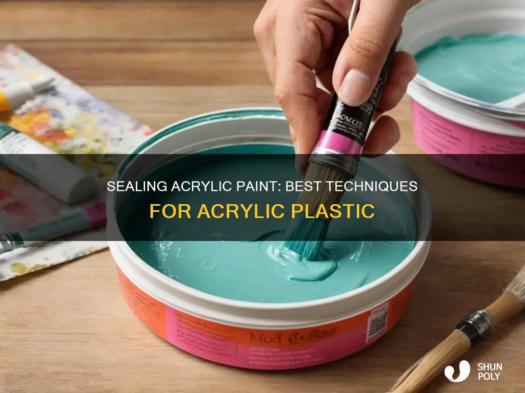Sealing Acrylic Paint: Best Techniques For Acrylic Plastic | ShunPoly