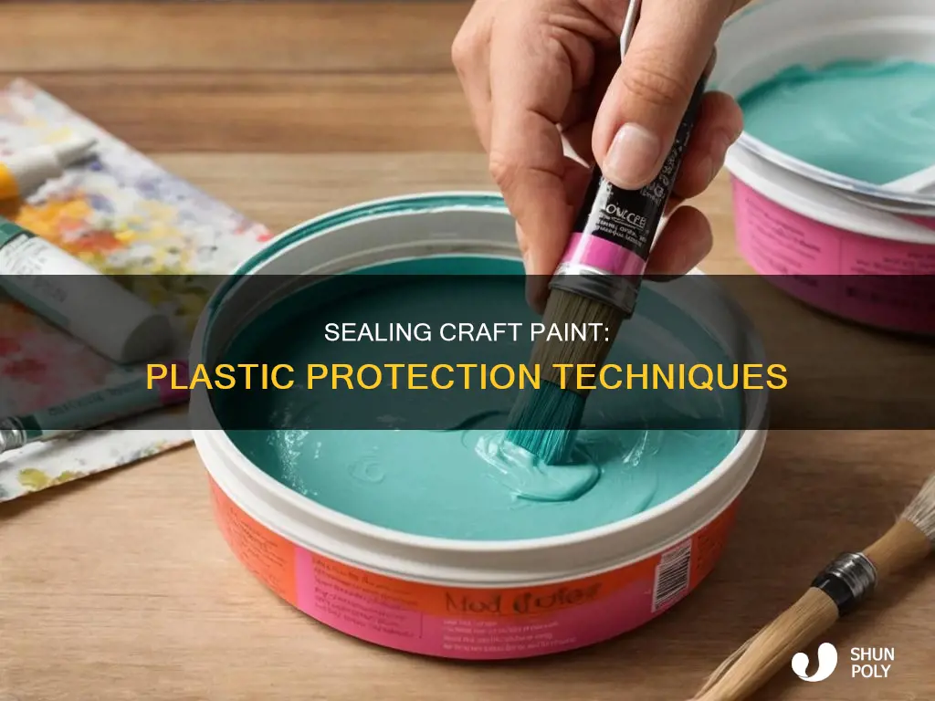 Sealing Craft Paint: Plastic Protection Techniques | ShunPoly