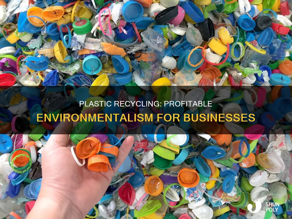 Plastic Recycling: Profitable Environmentalism For Businesses | ShunPoly