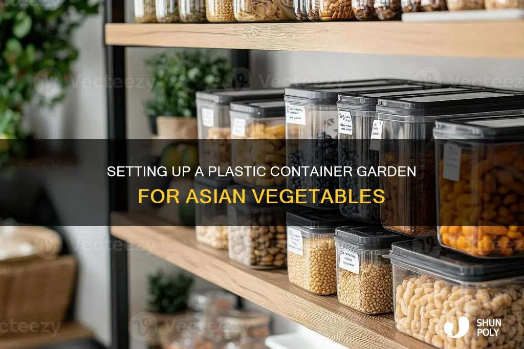 Setting Up A Plastic Container Garden For Asian Vegetables | ShunPoly