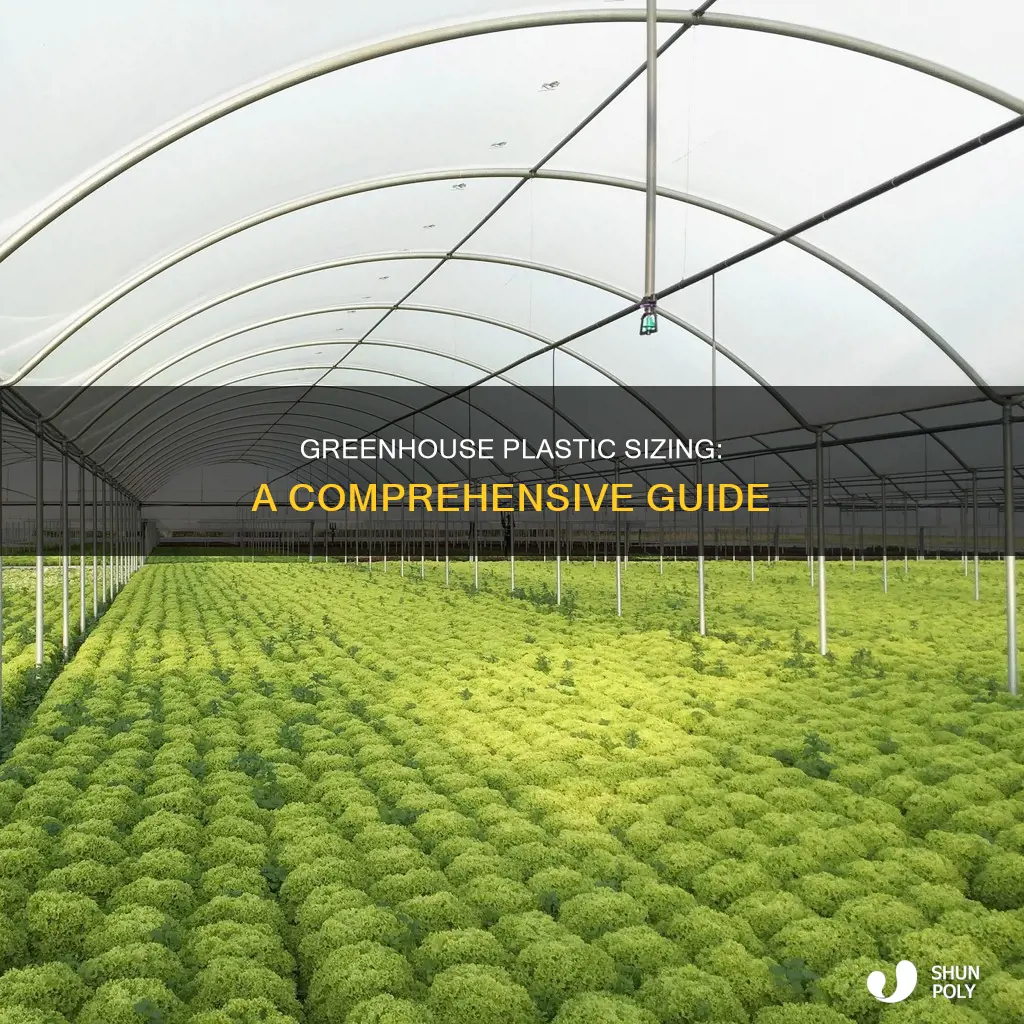 Greenhouse Plastic Sizing: A Comprehensive Guide | ShunPoly