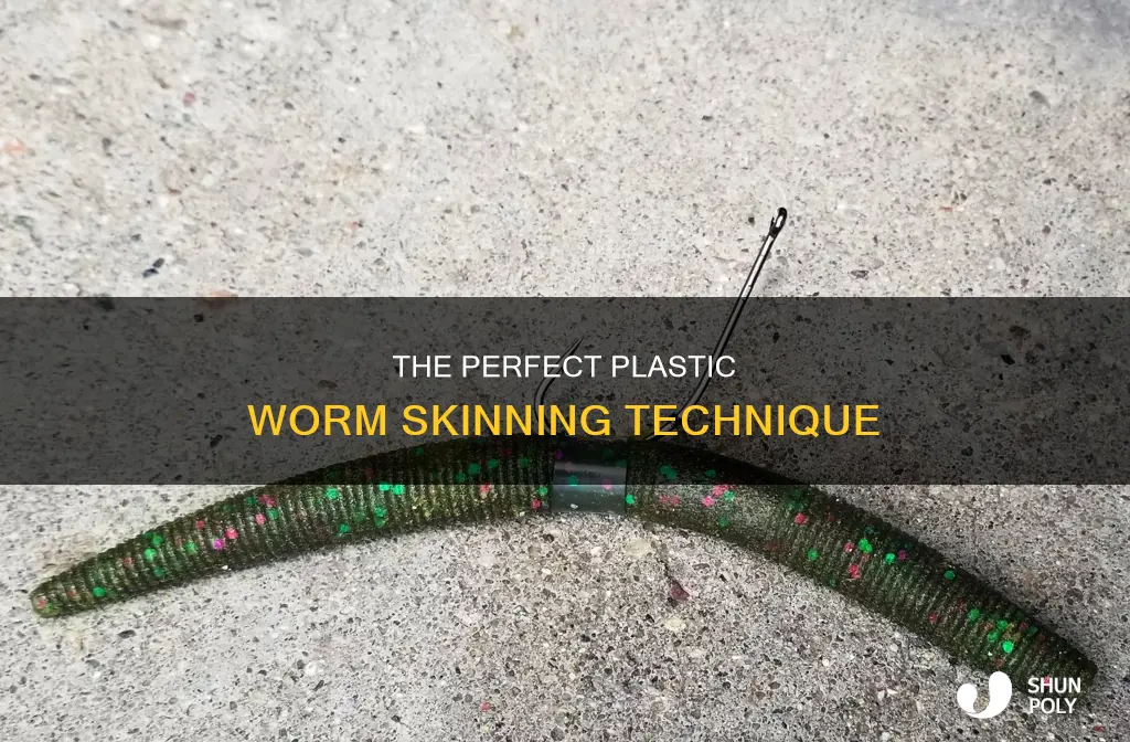 The Perfect Plastic Worm Skinning Technique | ShunPoly