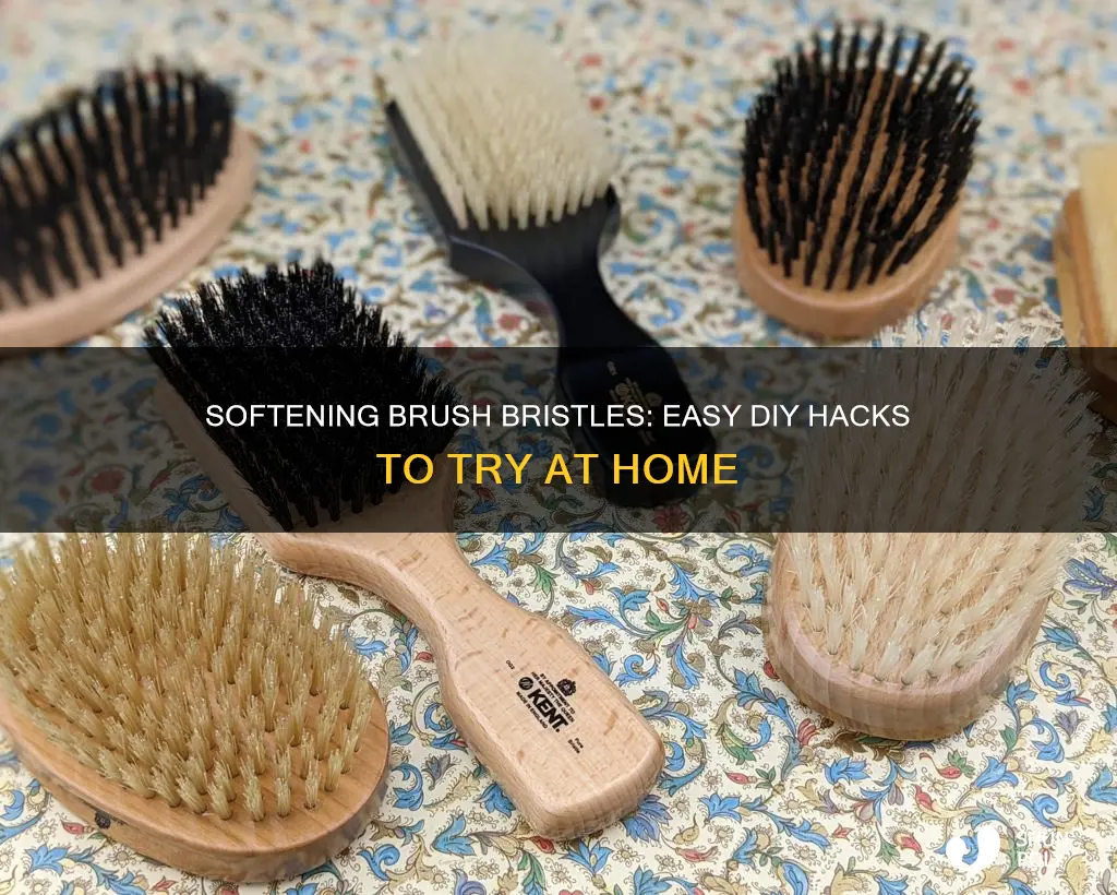 Softening Brush Bristles: Easy Diy Hacks To Try At Home | ShunPoly