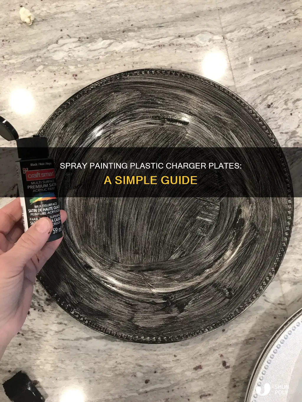 Spray Painting Plastic Charger Plates: A Simple Guide | ShunPoly