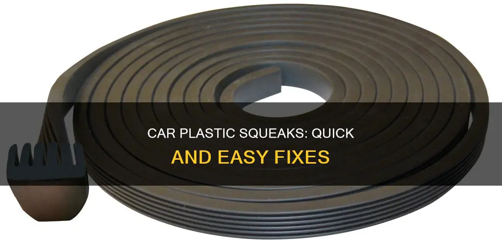 Car Plastic Squeaks: Quick And Easy Fixes | ShunPoly