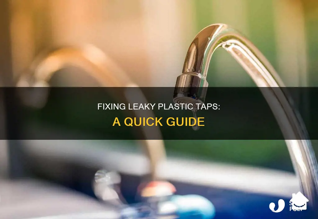 Fixing Leaky Plastic Taps: A Quick Guide | ShunPoly