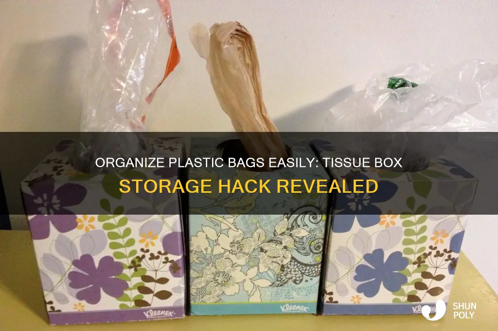 Organize Plastic Bags Easily: Tissue Box Storage Hack Revealed | ShunPoly