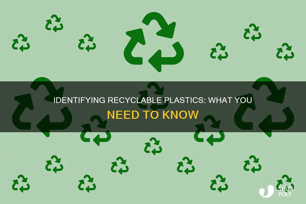 Identifying Recyclable Plastics: What You Need To Know | ShunPoly