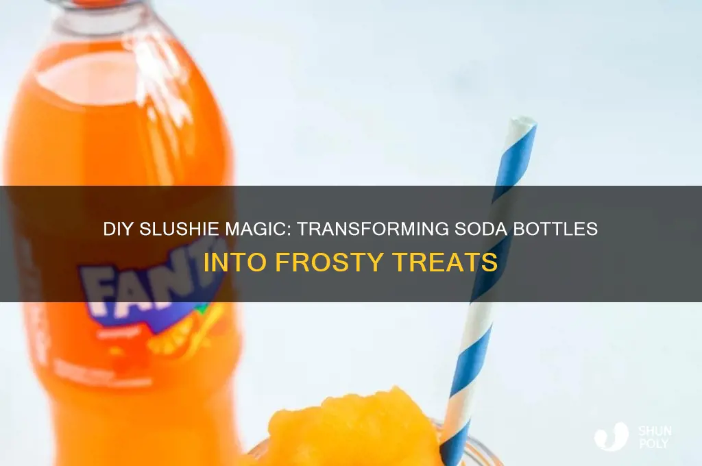 Diy Slushie Magic: Transforming Soda Bottles Into Frosty Treats | ShunPoly