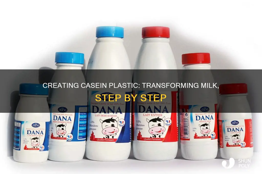 Creating Casein Plastic: Transforming Milk, Step By Step | ShunPoly