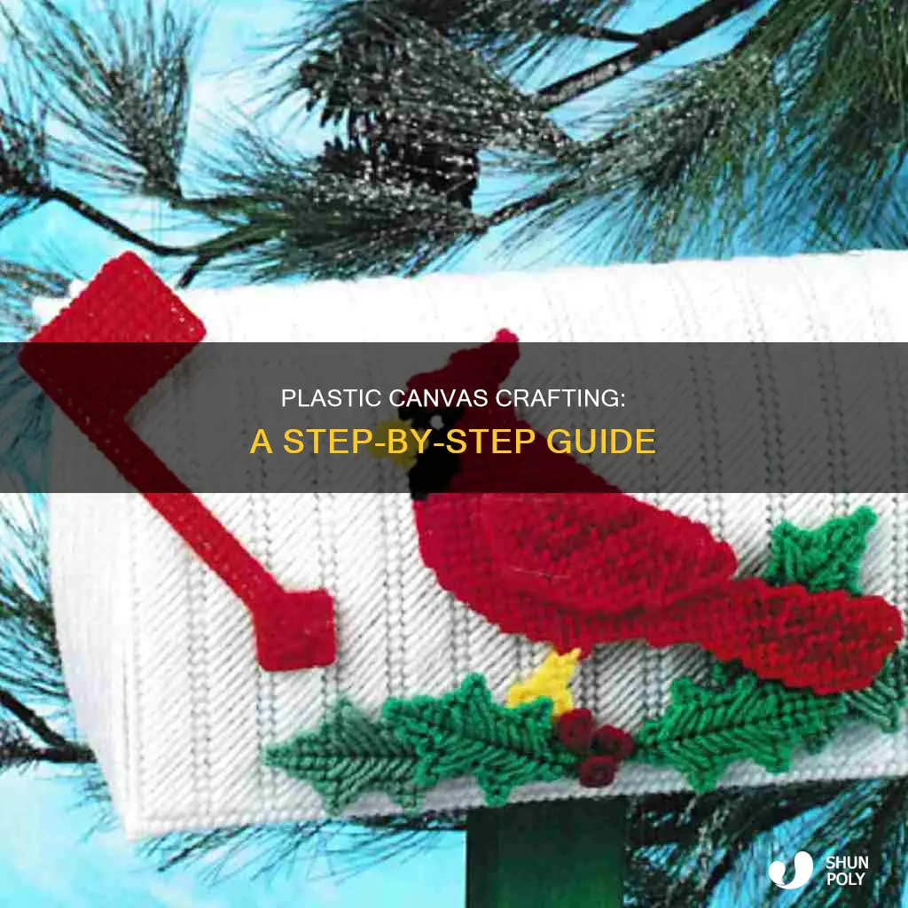 Plastic Canvas Crafting: A Step-By-Step Guide | ShunPoly