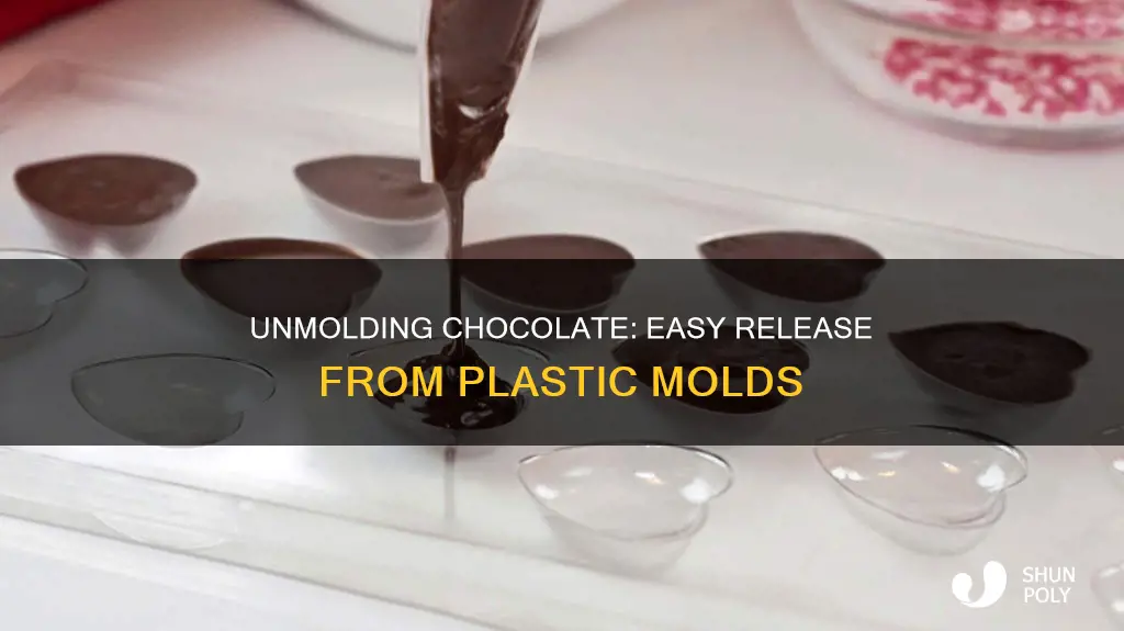 Unmolding Chocolate: Easy Release From Plastic Molds | ShunPoly