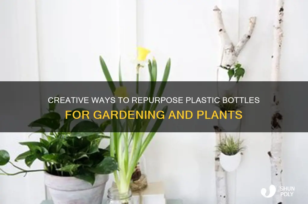 Creative Ways To Repurpose Plastic Bottles For Gardening And Plants ...