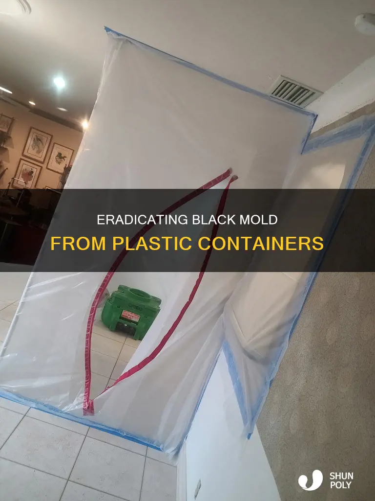 Eradicating Black Mold From Plastic Containers | ShunPoly