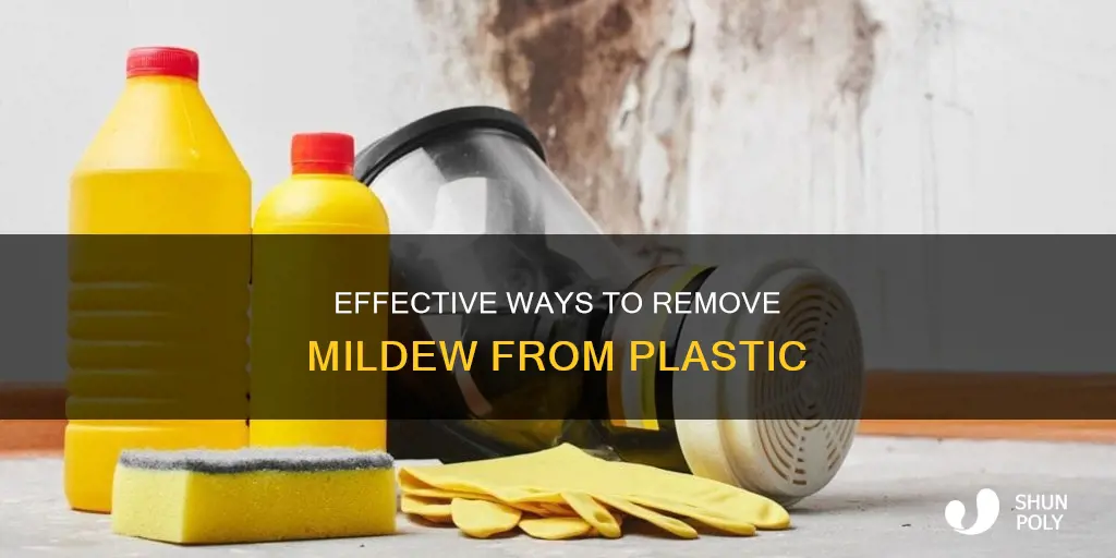 Effective Ways To Remove Mildew From Plastic | ShunPoly