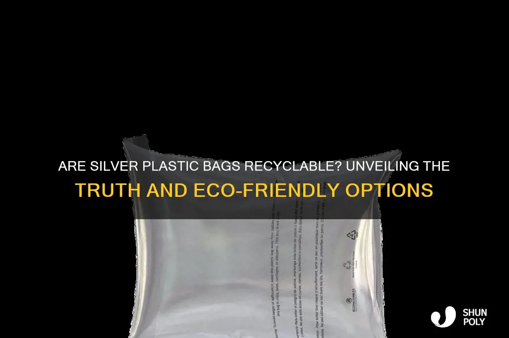 Are Silver Plastic Bags Recyclable? Unveiling The Truth And Eco ...