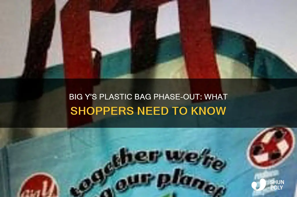 Big Y's Plastic Bag Phase-Out: What Shoppers Need To Know | ShunPoly