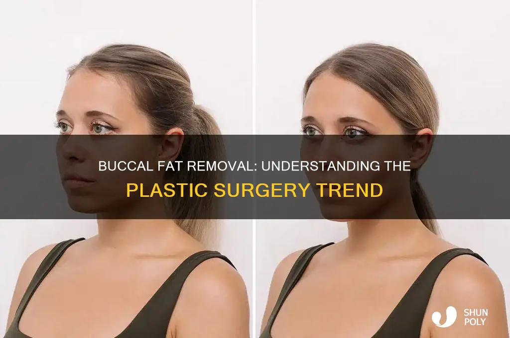 Buccal Fat Removal: Understanding The Plastic Surgery Trend | ShunPoly