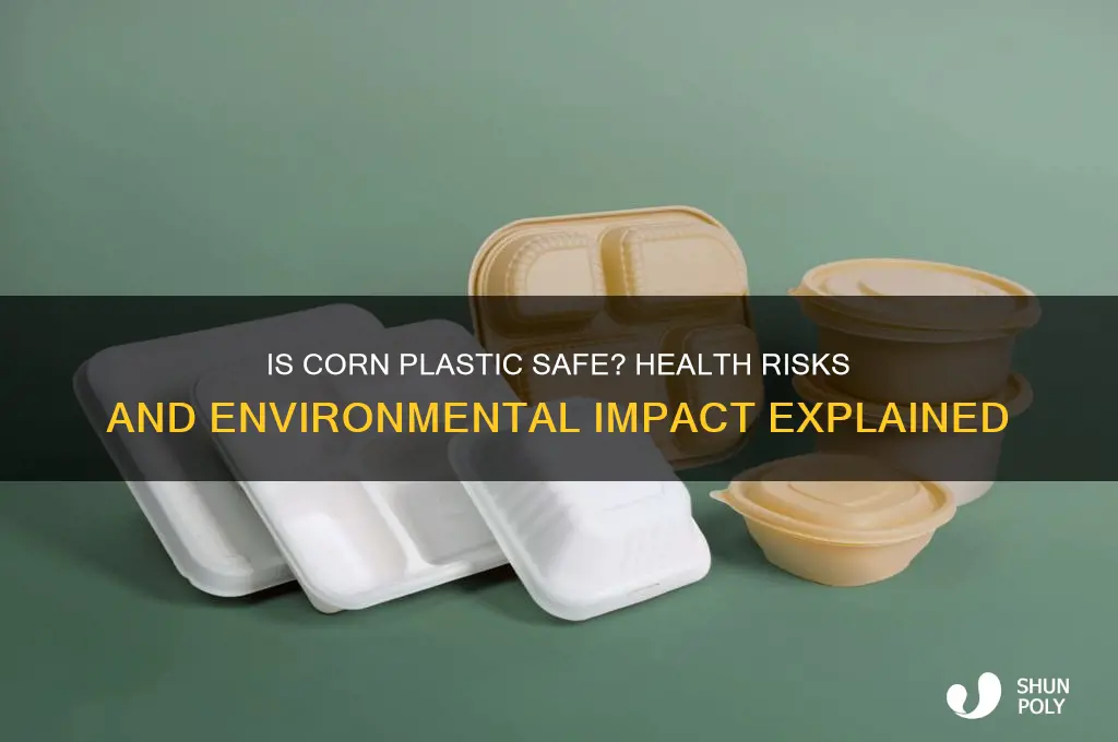Is Corn Plastic Safe? Health Risks And Environmental Impact Explained ...