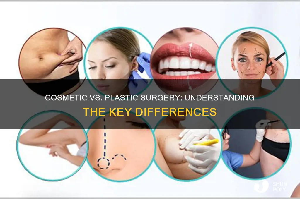 Cosmetic Vs. Plastic Surgery: Understanding The Key Differences | ShunPoly