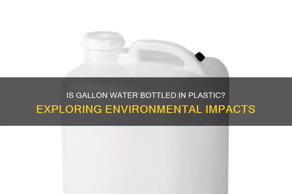 Is Gallon Water Bottled In Plastic? Exploring Environmental Impacts ...