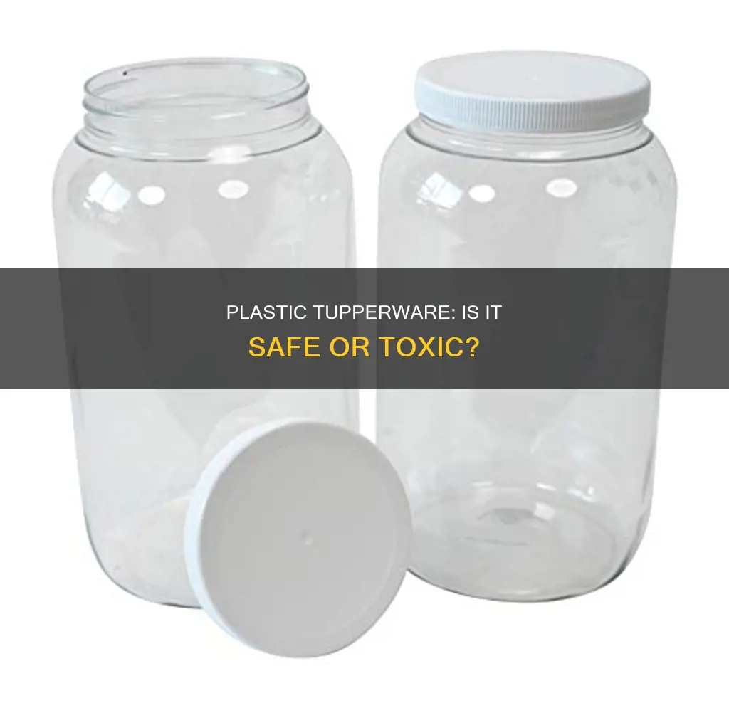 Plastic Tupperware: Is It Safe Or Toxic? | ShunPoly
