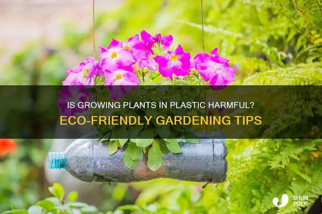 Is Growing Plants In Plastic Harmful? Eco-Friendly Gardening Tips ...
