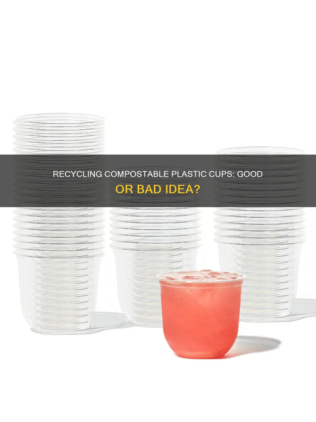 Recycling Compostable Plastic Cups: Good Or Bad Idea? | ShunPoly